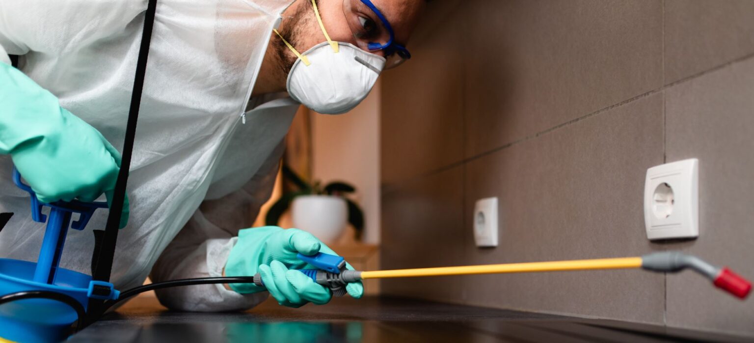 Training Your Staff in Pest Prevention | ASAP Pest Control